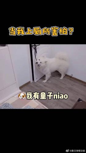 滑稽酱游戏六位数作弊码图标