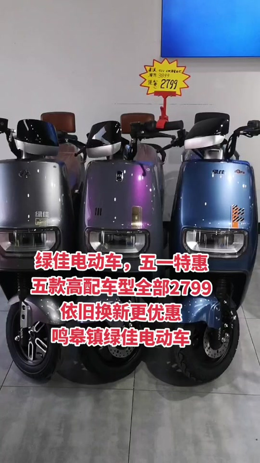 绿佳电动车怎么看型号图标