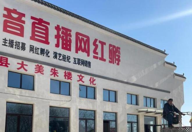 中国最大网红孵化公司截图
