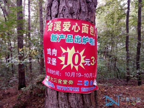 广告挂出来叫什么图标