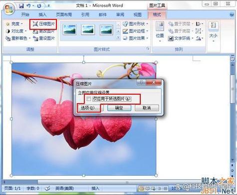 图片复制到word显示不全图标
