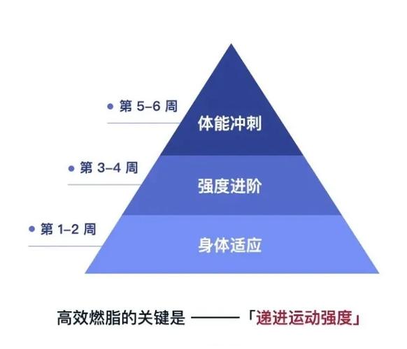 燃脂与有氧耐力哪个更消耗脂肪图标