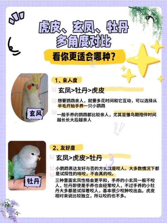 虎皮和牡丹混血图片截图