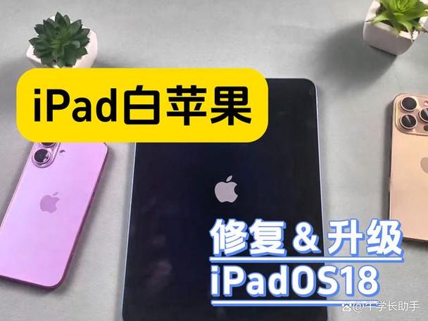 苹果ipad升级后越来越卡怎么办截图