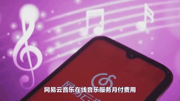 网易云黑胶年费多少钱截图