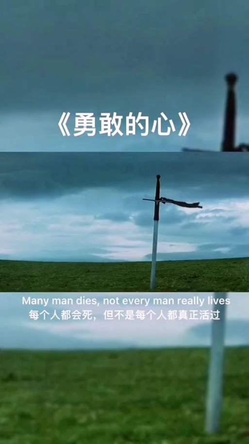 勇敢的心英文原版图标