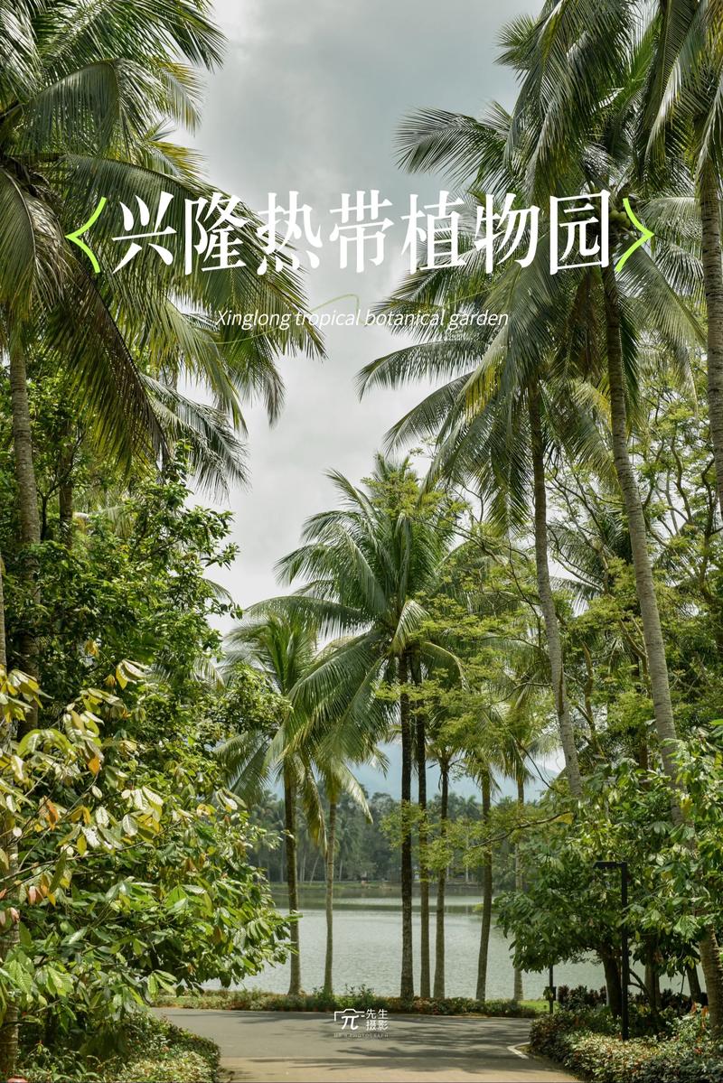 热带雨林的坐标指令图标