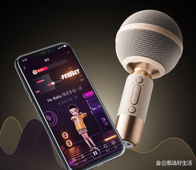 手机当麦克风话筒截图