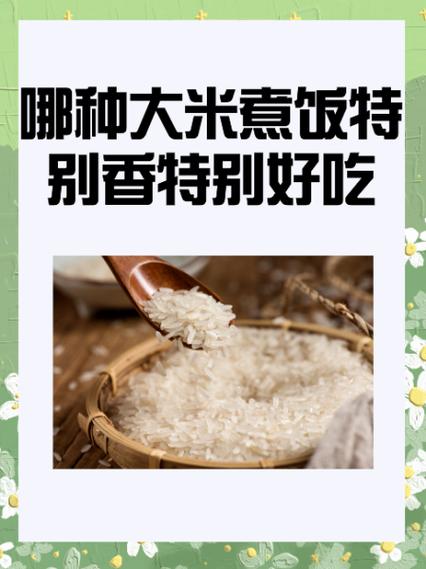 米泡了一天一夜还能再煮饭吗截图
