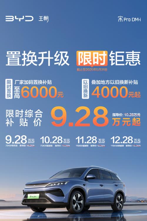 比亚迪新能源汽车置换补贴图标