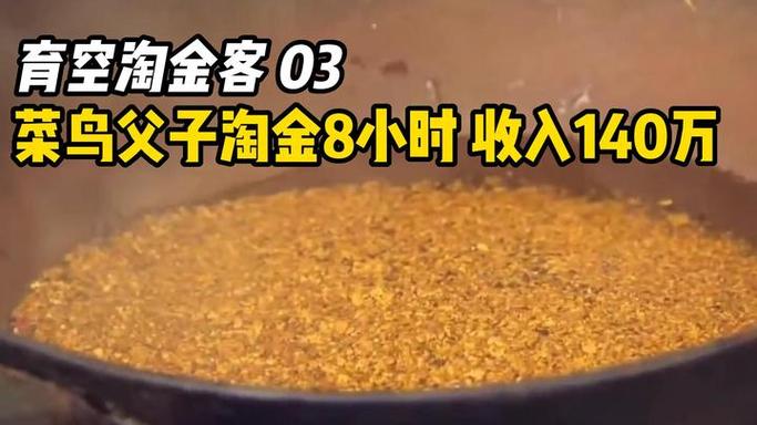 莱鸟淘金是什么情况图标
