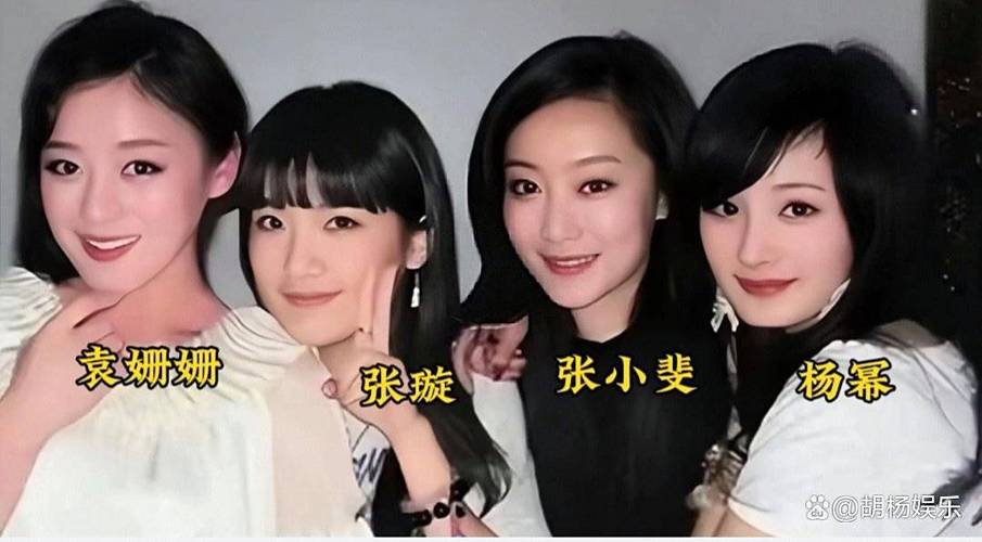 四朵金花截图