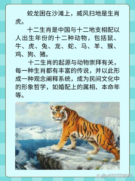 能文能武的生肖有哪些图标