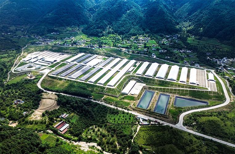 云南养殖业国家扶持的项目有哪些图标