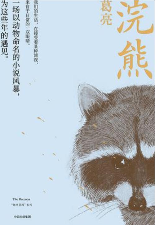 浣熊小说图标