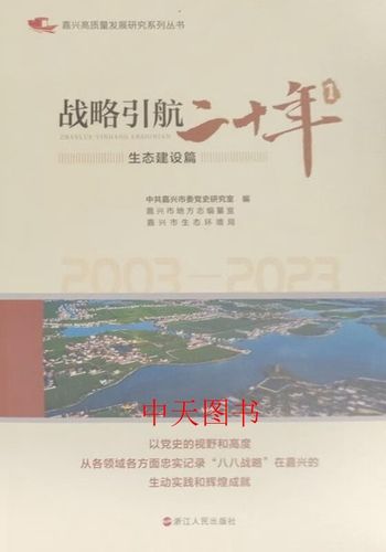 战略规划师图标