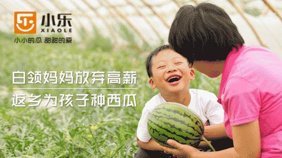 小乐西瓜官网截图