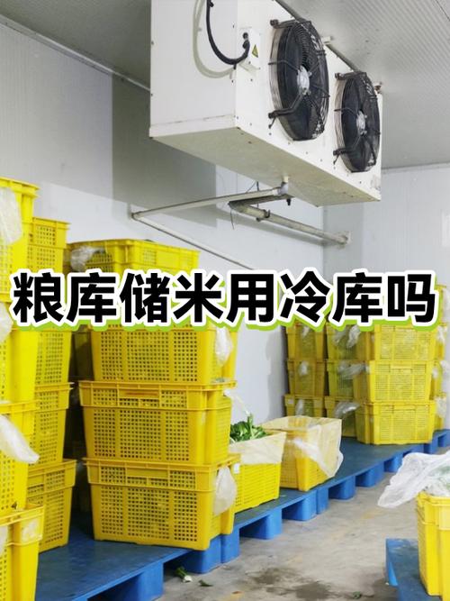 大米可以放冷库保存吗图标