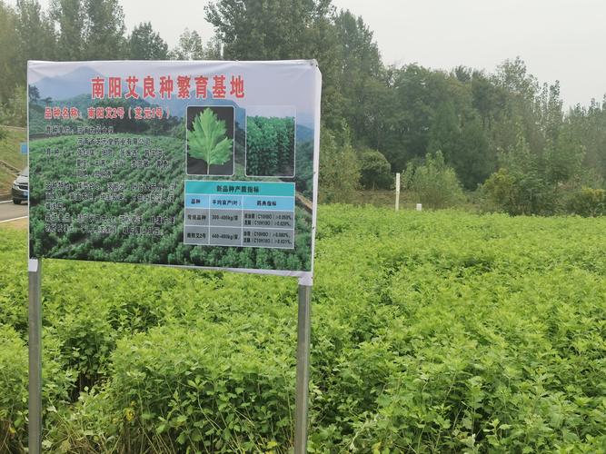 找药厂联合种植中药材图标