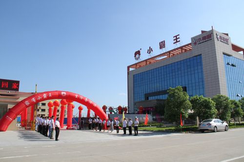 小霸王公司还在吗图标