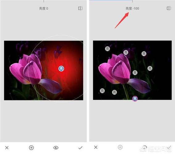 手机拍花卉背景怎么变黑图标