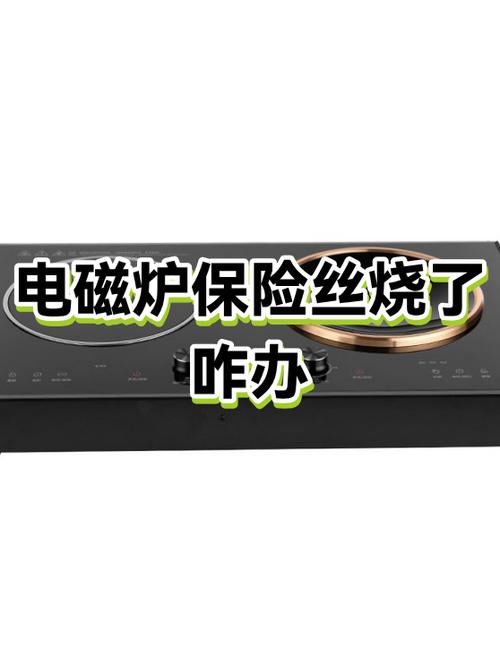 电磁炉保险丝在哪个位置