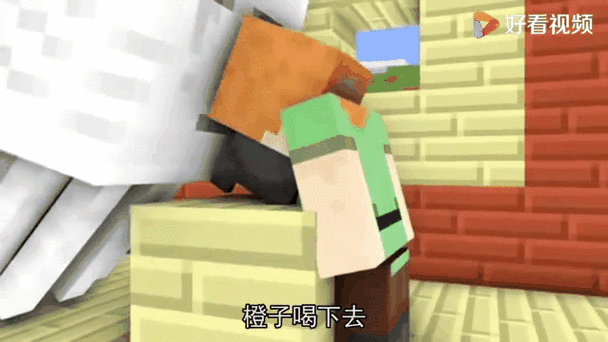 我的世界生孩子视频图标