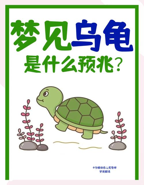 梦见龟周公解梦图标