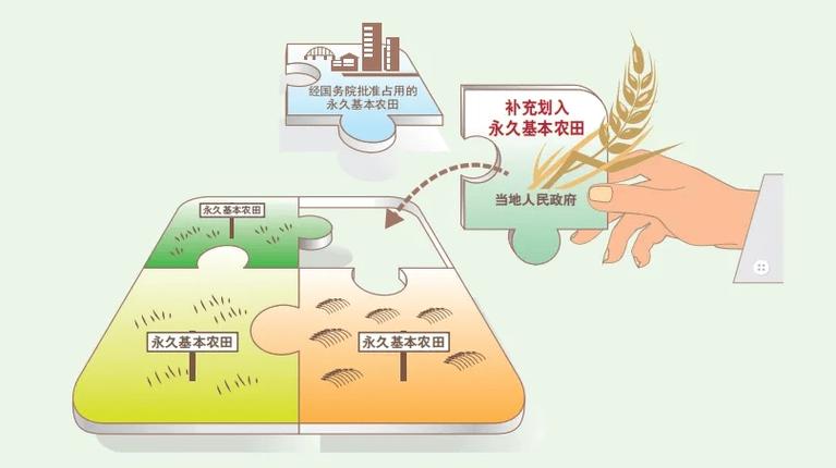 占用基本农田补偿标准图标