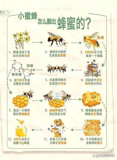 蜜蜂如何采蜜图标