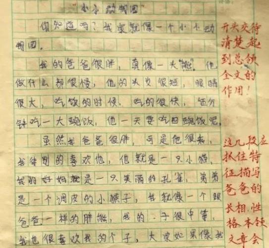 和姐姐一起玩的作文怎么写图标