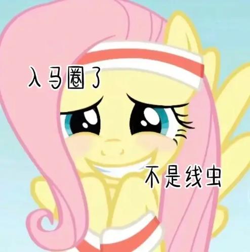 小马宝莉马圈是什么图标