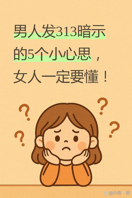 男人说313代表什么意思图标