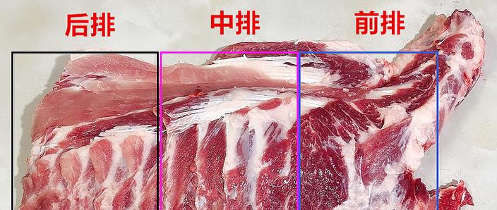 排骨和肉排的区别图标