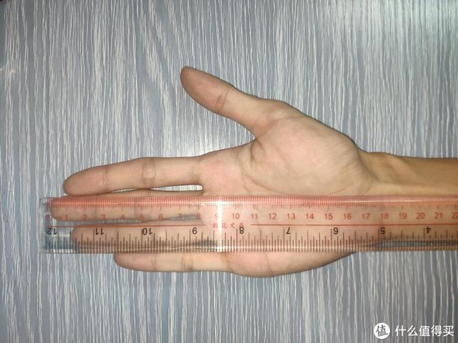 12cm参照物图片图标