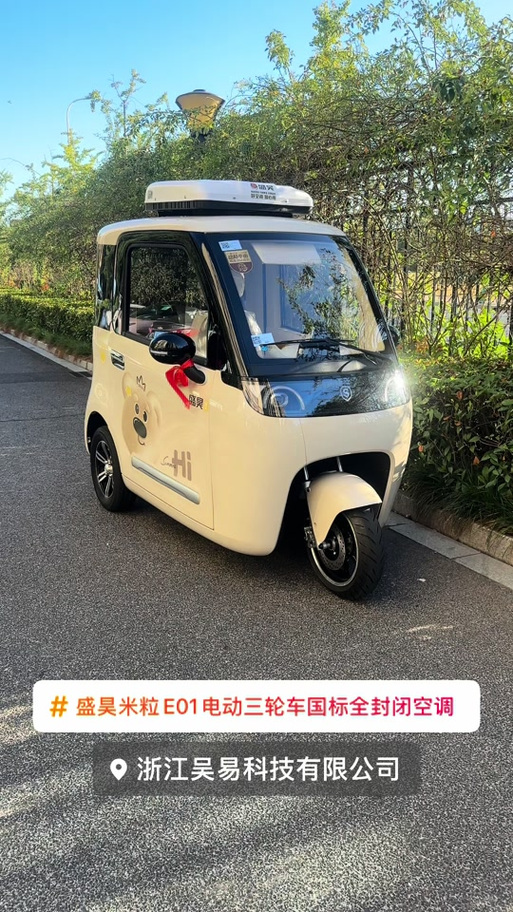 盛昊电动四轮车生产厂家图标