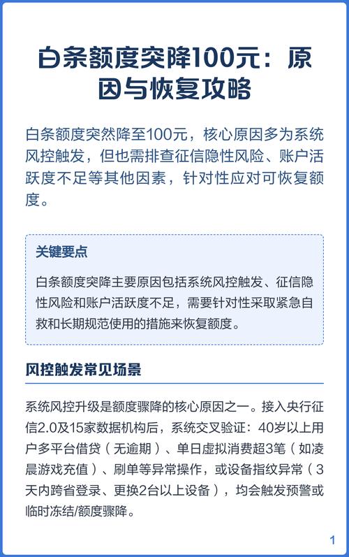 白条额度突然降到100图标