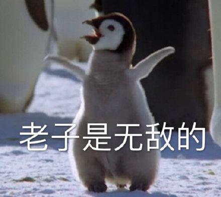 表情逐渐无敌截图