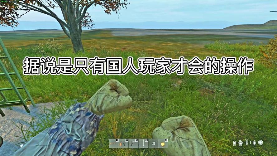 dayz怎么卡bug进房子