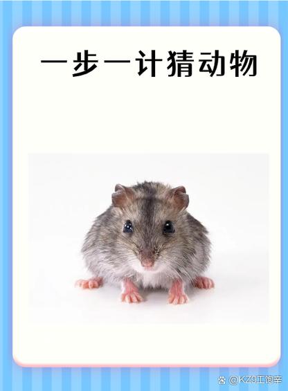 功成名就猜一动物图标