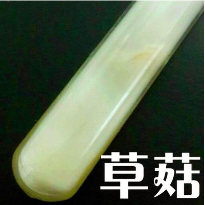草菇菌种缩略图