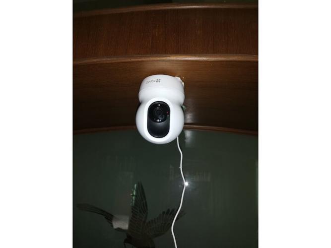 萤石c6c和cp1图标