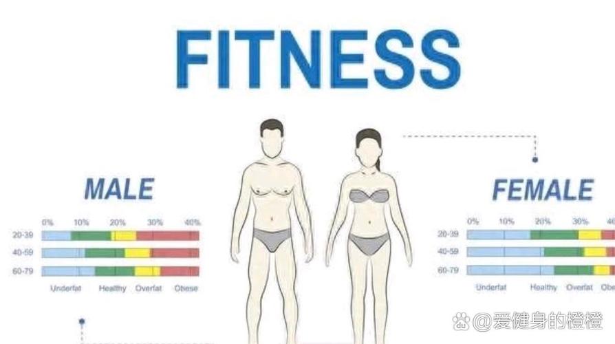 女性降低体脂率的8个方法图标