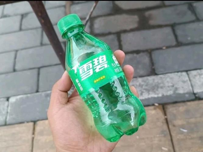 柠檬汽是什么意思图标