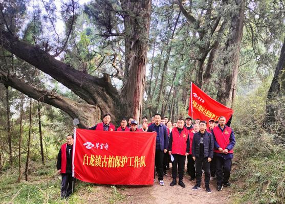 守卫剑阁单人选谁好图标