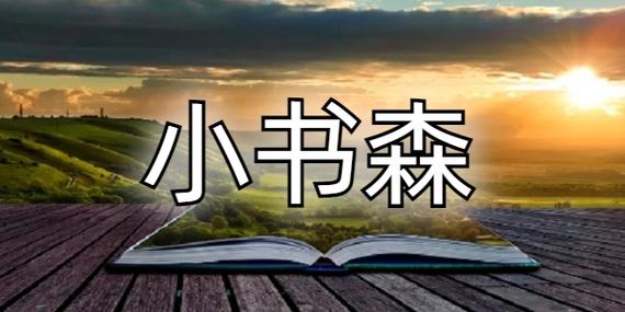 小书森旧版本下载安装图标