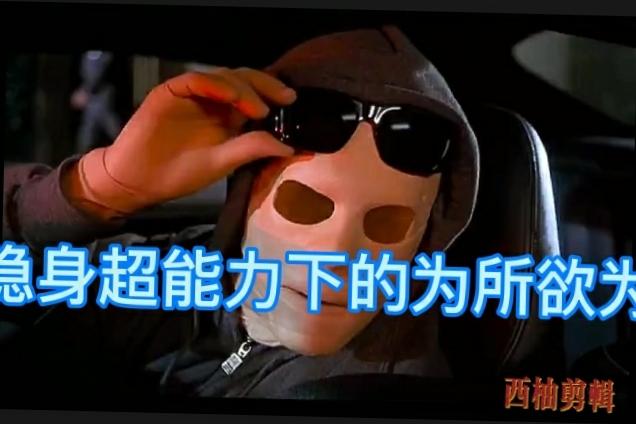 隐身系统之为所欲为截图