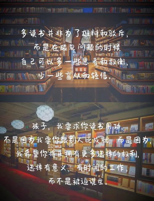 小米电纸书测评和kindle