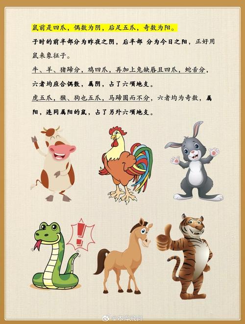 移形换步最正确三大生肖图标