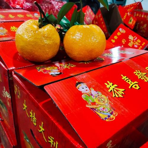 发财橙子赚钱app下载链接图标